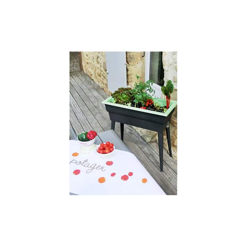 Découvrez le bac potager sur pied 40L de Jardin et Saisons