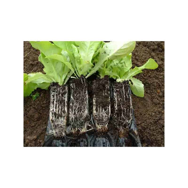 Commandez notre godet pour semis - Jardin et Saisons